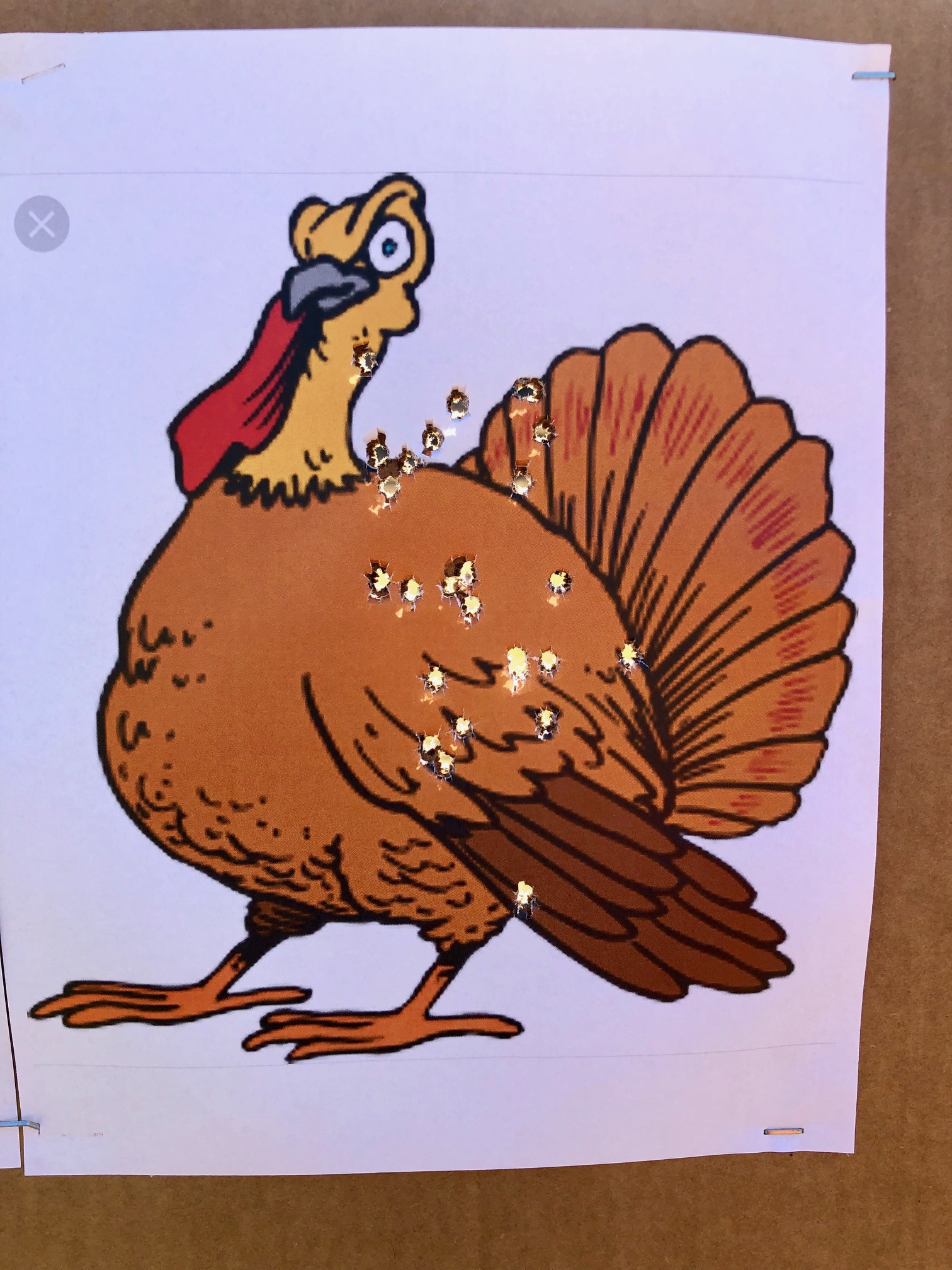 An Aero Precision Turkey Shoot! - GAT Daily (Guns Ammo Tactical)
