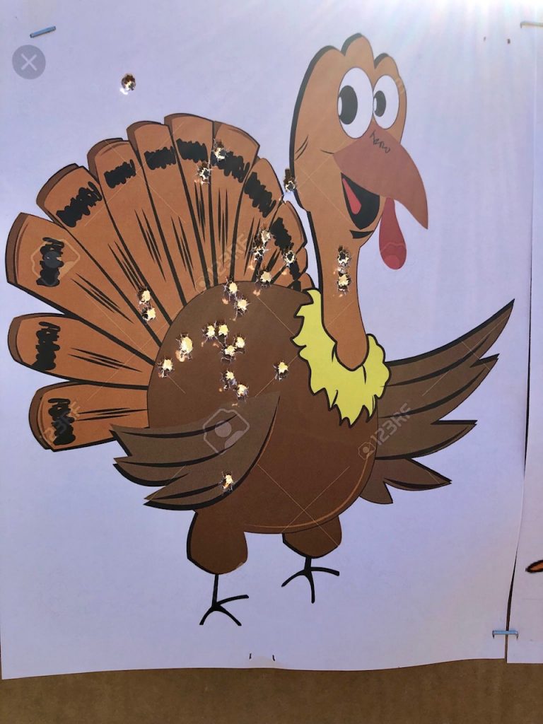 An Aero Precision Turkey Shoot! - GAT Daily (Guns Ammo Tactical)