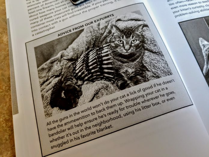 How To Talk To Your Cat About Gun Safety - Book Review - GAT Daily ...