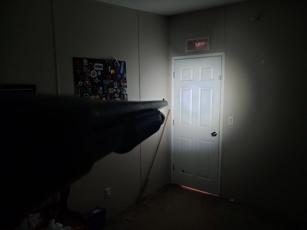 The Steiner Mk7 Battle Light - GAT Daily (Guns Ammo Tactical)