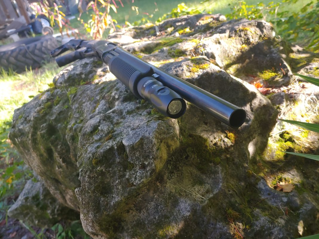 The Steiner Mk7 Battle Light - GAT Daily (Guns Ammo Tactical)