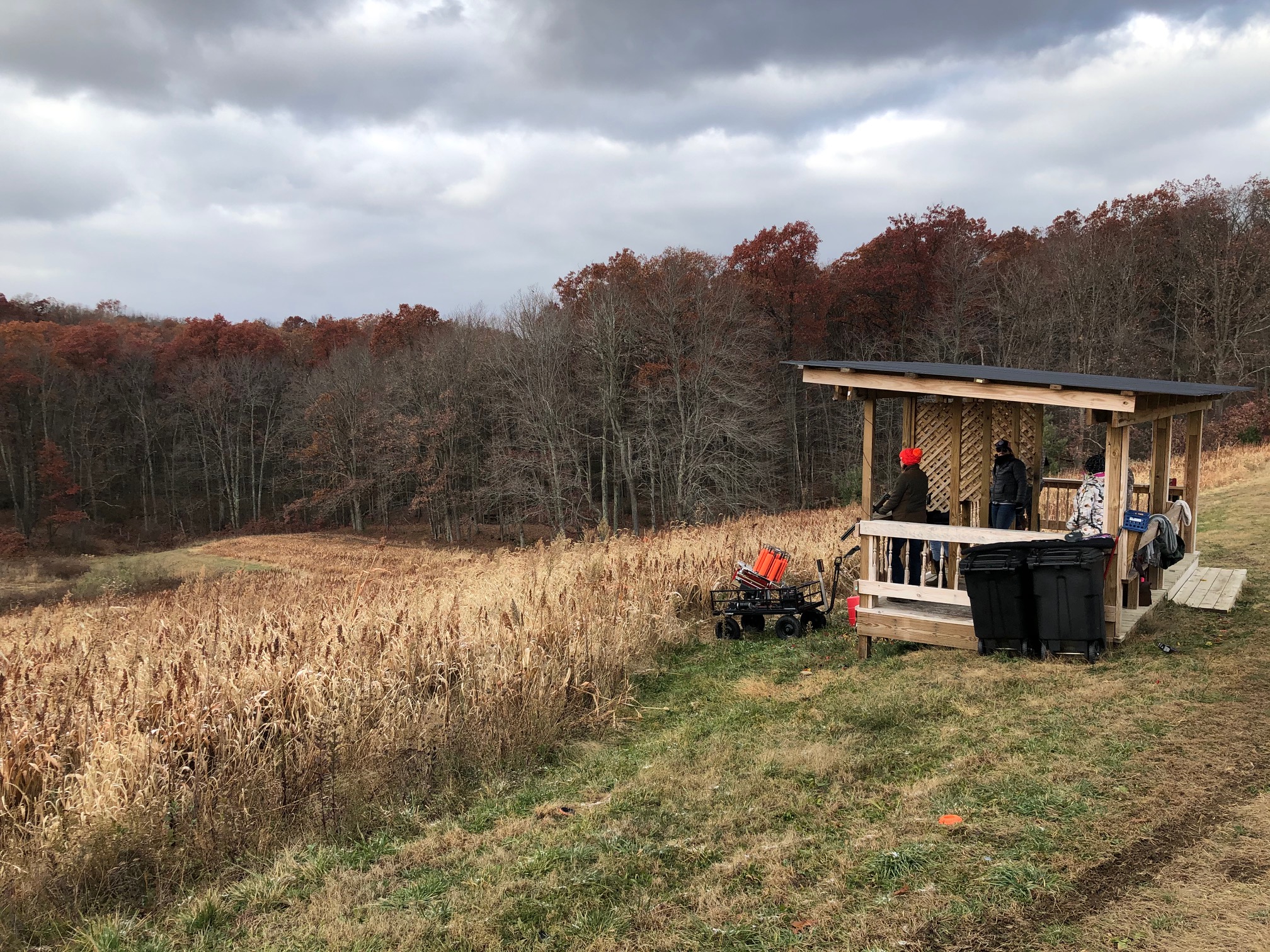 Gal Pal Pheasant Hunt 2019 - GAT Daily (Guns Ammo Tactical)