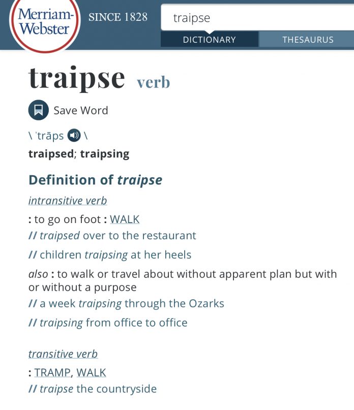 Traipsing Alone - GAT Daily (Guns Ammo Tactical)