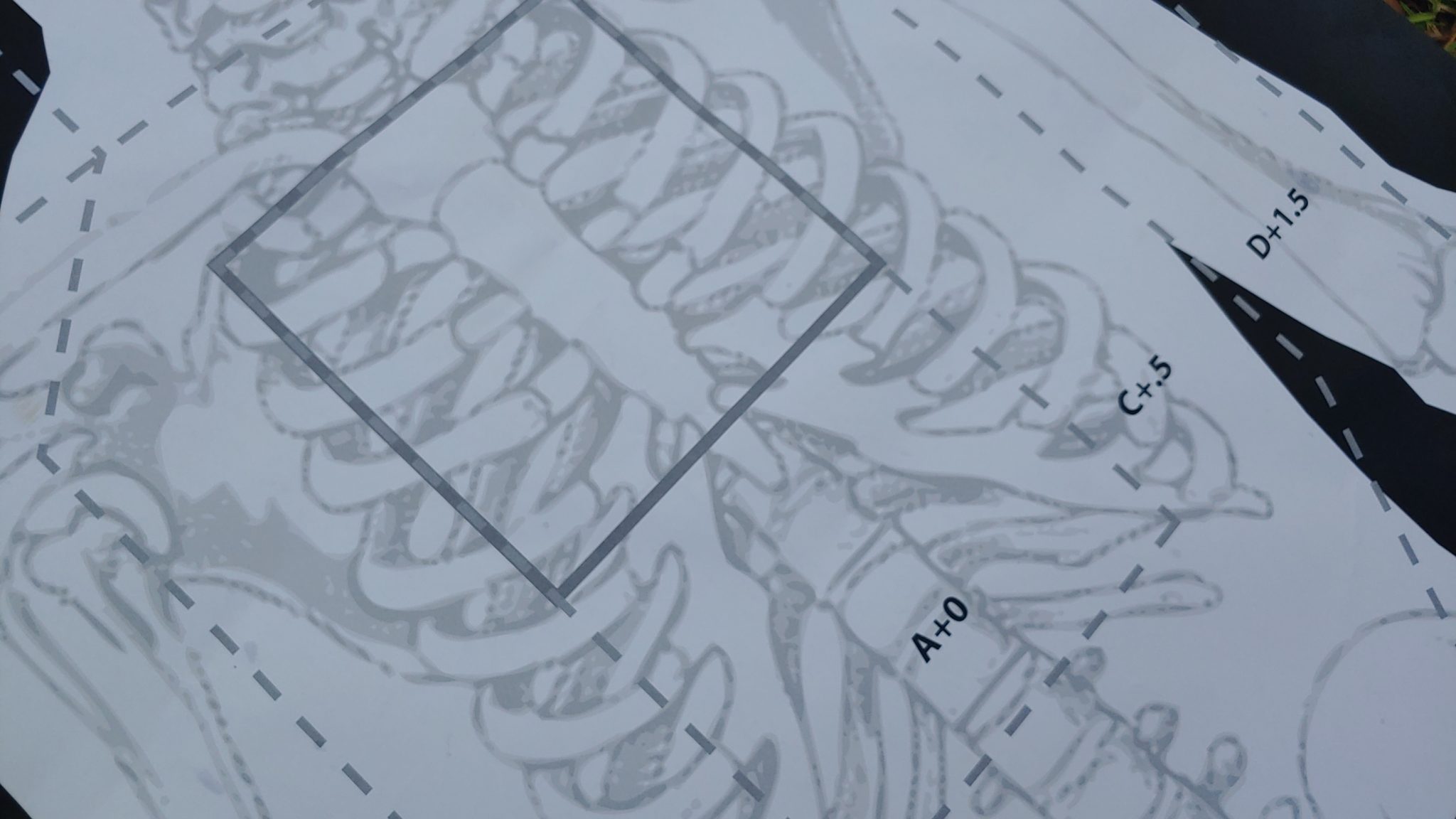 VTAC Tactical Targets - Up Your Training