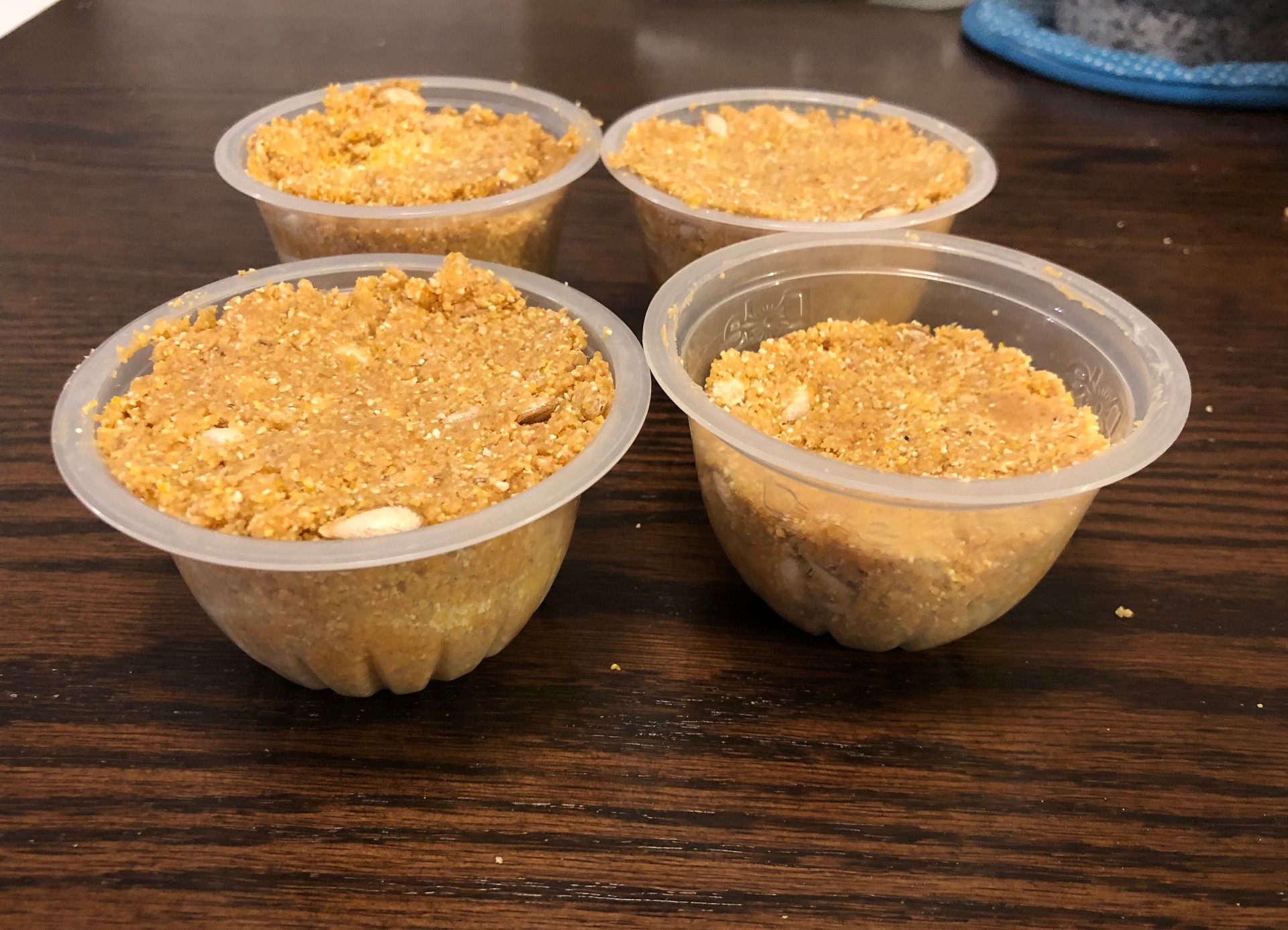 Seed Season - GAT Daily (Guns Ammo Tactical)