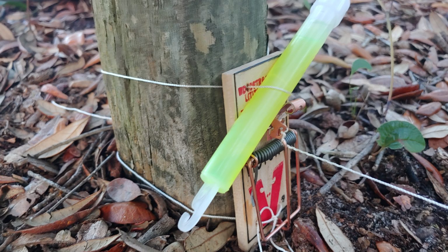 The Glowstick Tripwire Alarm - How To - GAT Daily (Guns Ammo Tactical)