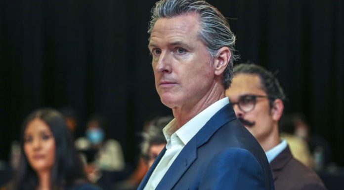 The Nomenclature of Handgun Sizes - GAT Daily (Guns Ammo Tactical)