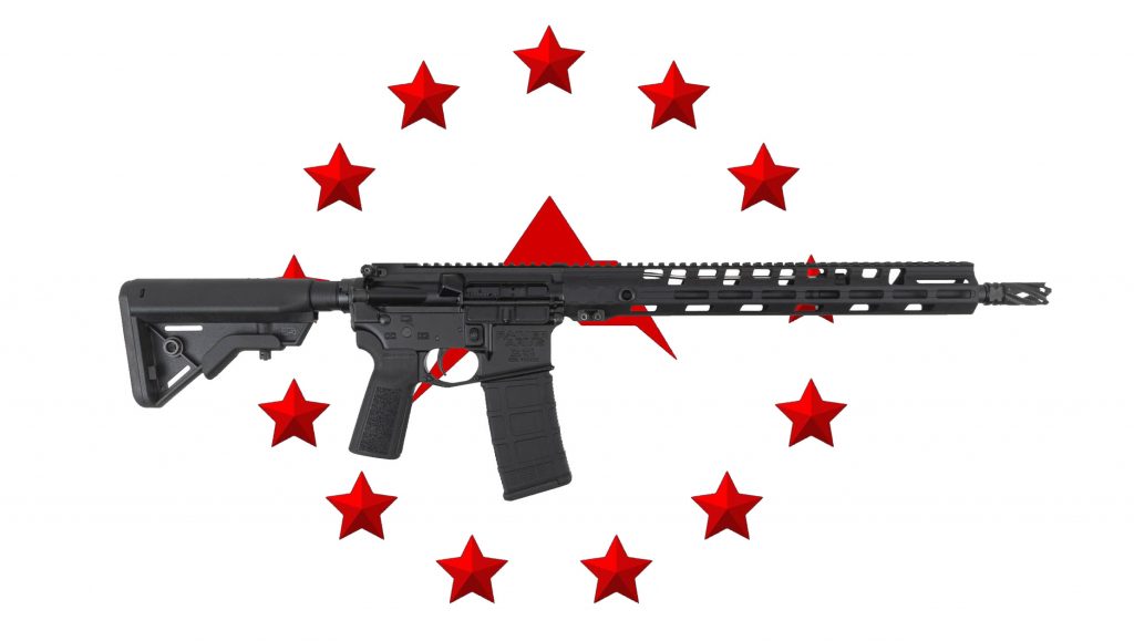 Rainer Arms Launches Urban Combat Rifle – the RUC DI - GAT Daily (Guns ...