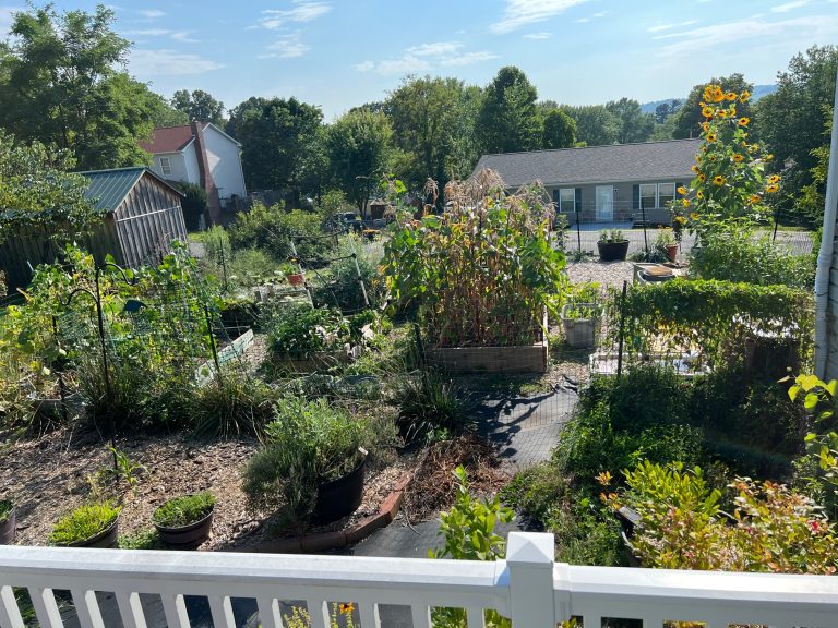 Tips For A Bountiful Garden - Perfection NOT Required
