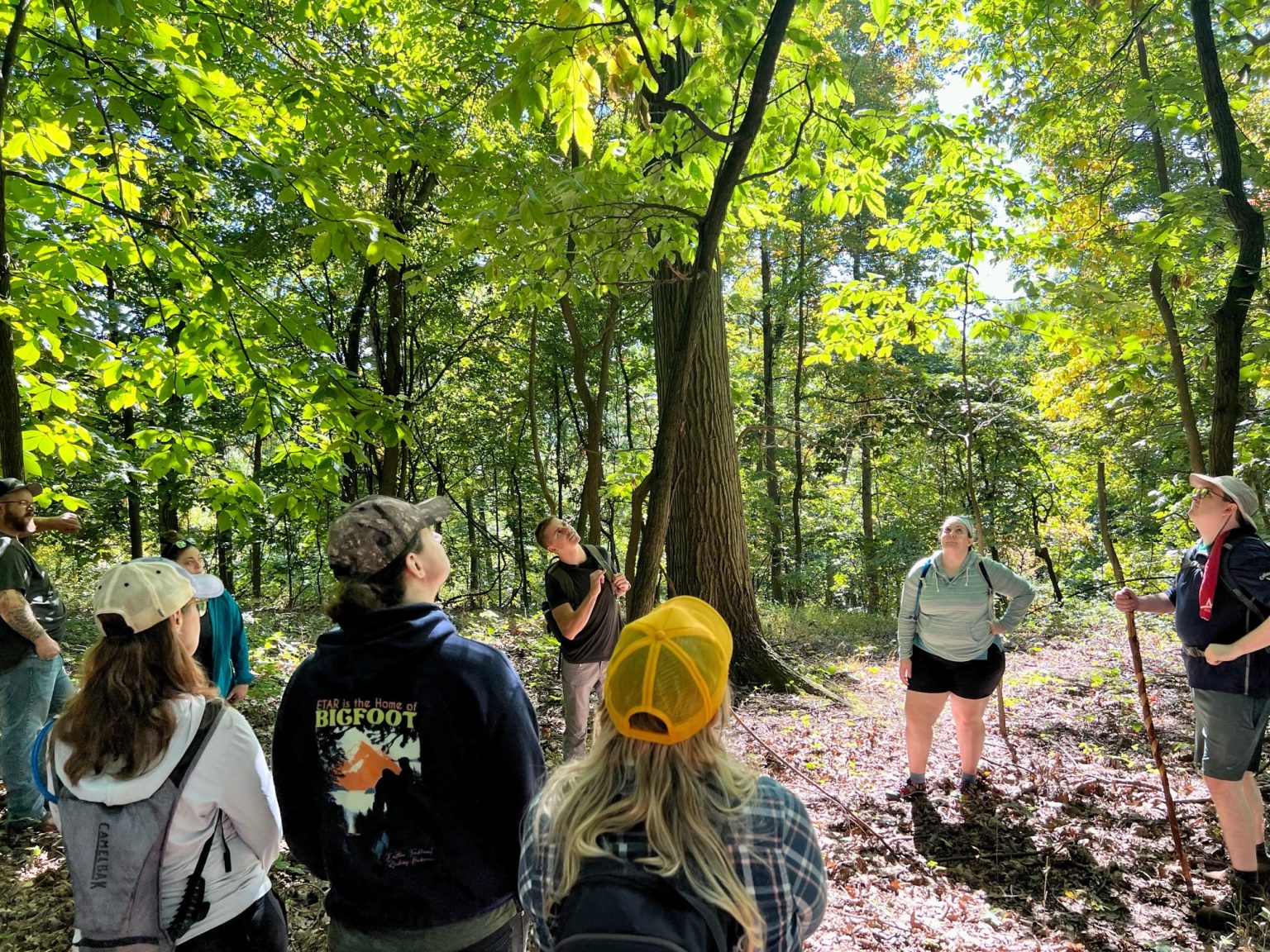 Tree ID Class For Foragers - GAT Daily (Guns Ammo Tactical)