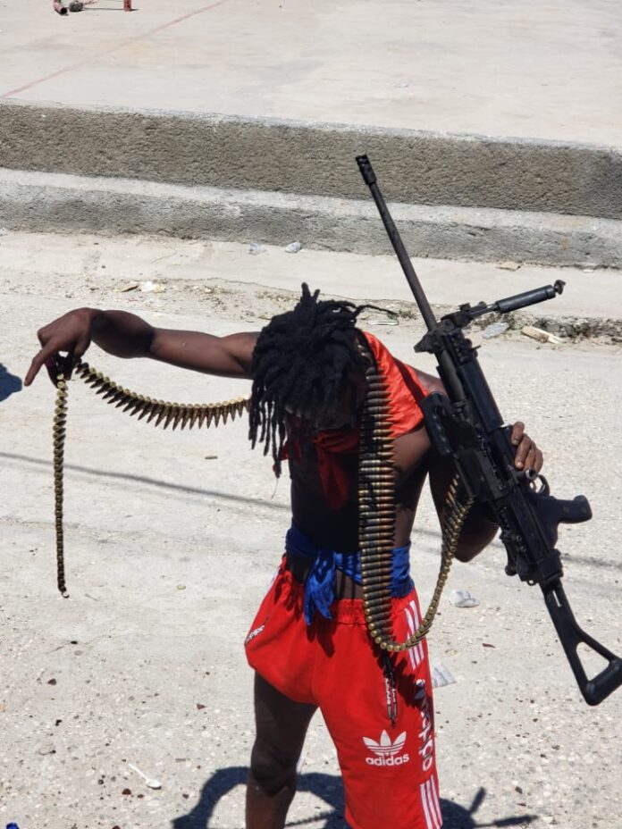 An Examination Of The Guns of Haiti - GAT Daily (Guns Ammo Tactical)