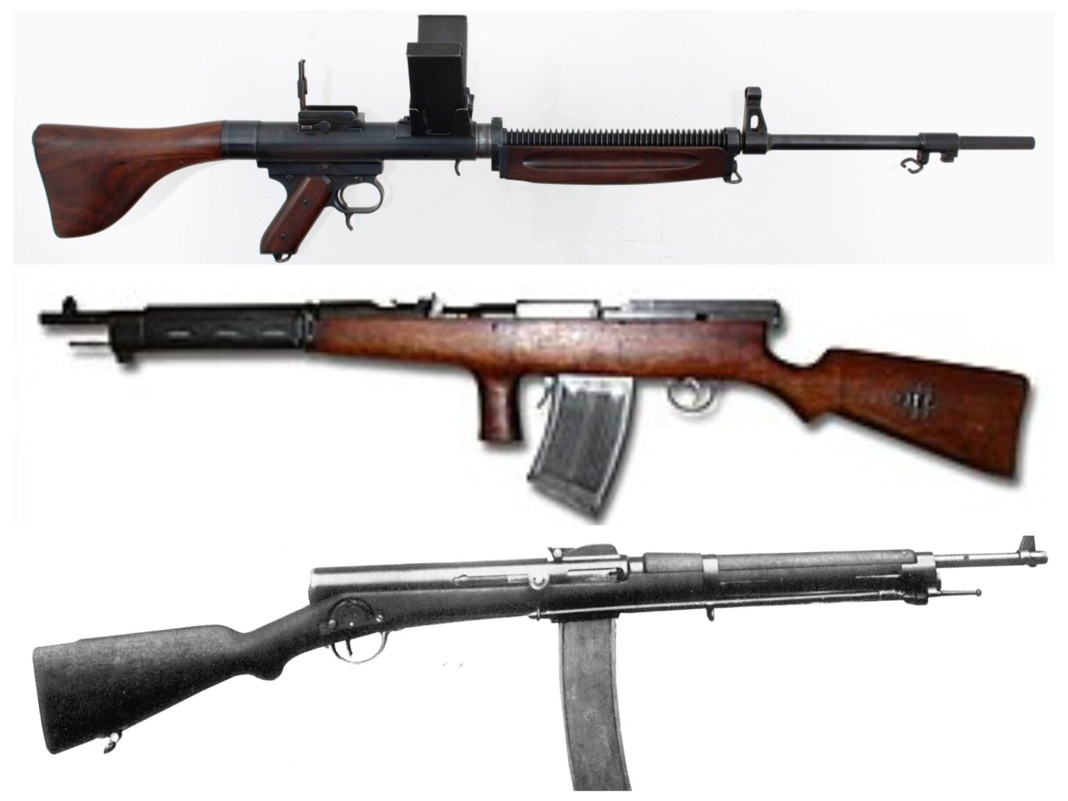 The Early World of Assault Rifles - GAT Daily (Guns Ammo Tactical)