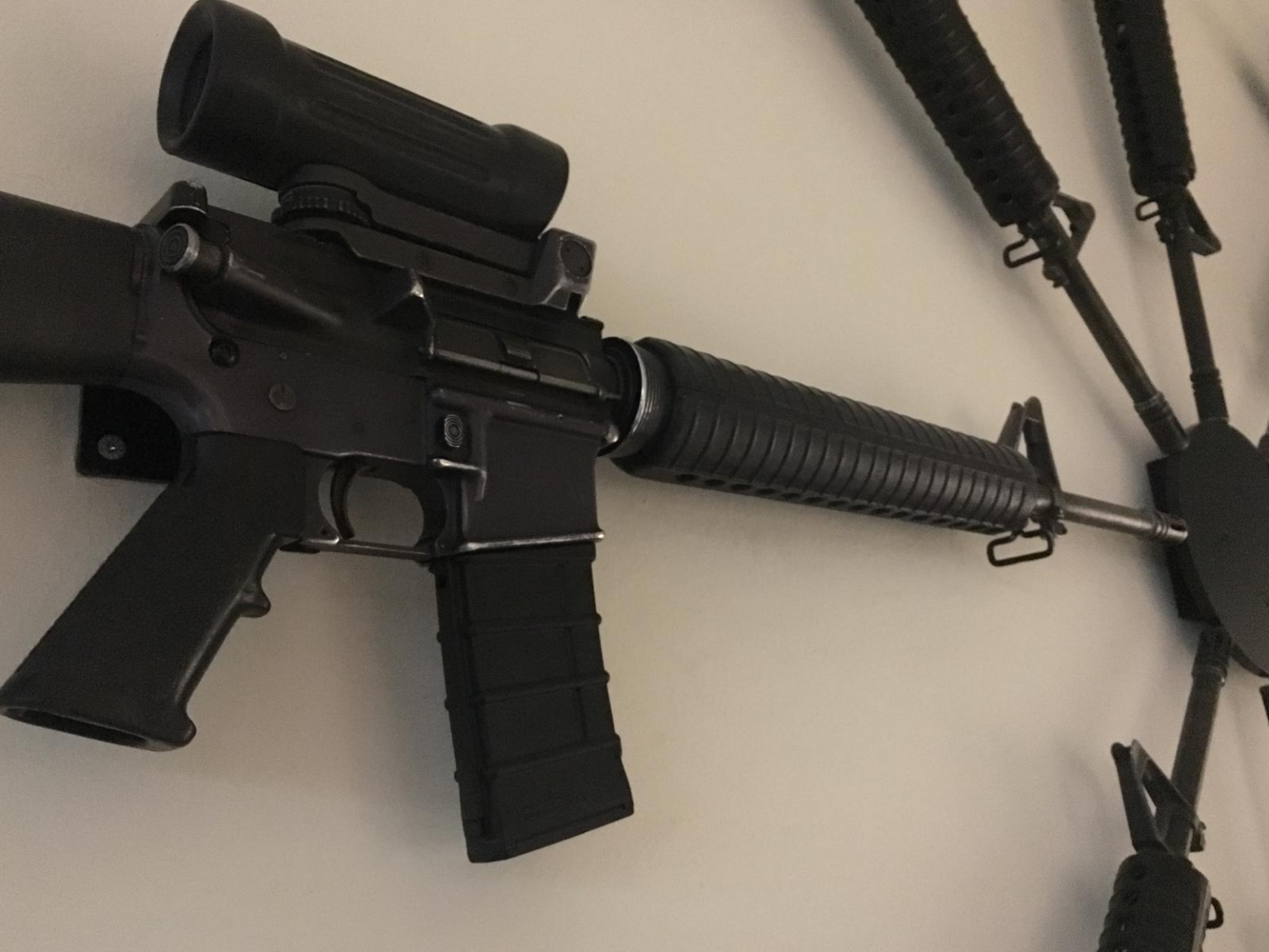 Danish C7A1—Regal Relevance That Guards European Royalty