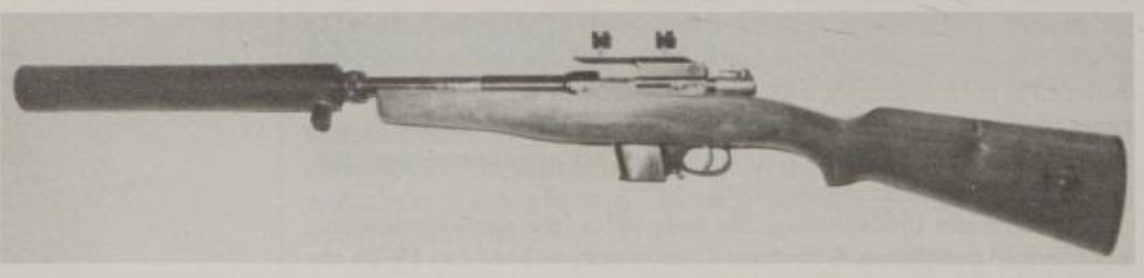 The Crazy Sionics 9mm M1 Carbine - GAT Daily (Guns Ammo Tactical)
