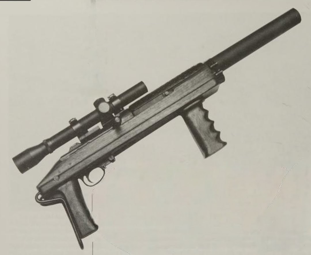 The Crazy Sionics 9mm M1 Carbine - GAT Daily (Guns Ammo Tactical)