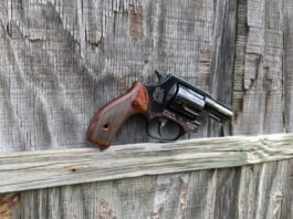 The Heritage Roscoe - A Hard Boiled Revolver - GAT Daily (Guns Ammo ...