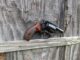 The Heritage Roscoe - A Hard Boiled Revolver - GAT Daily (Guns Ammo ...
