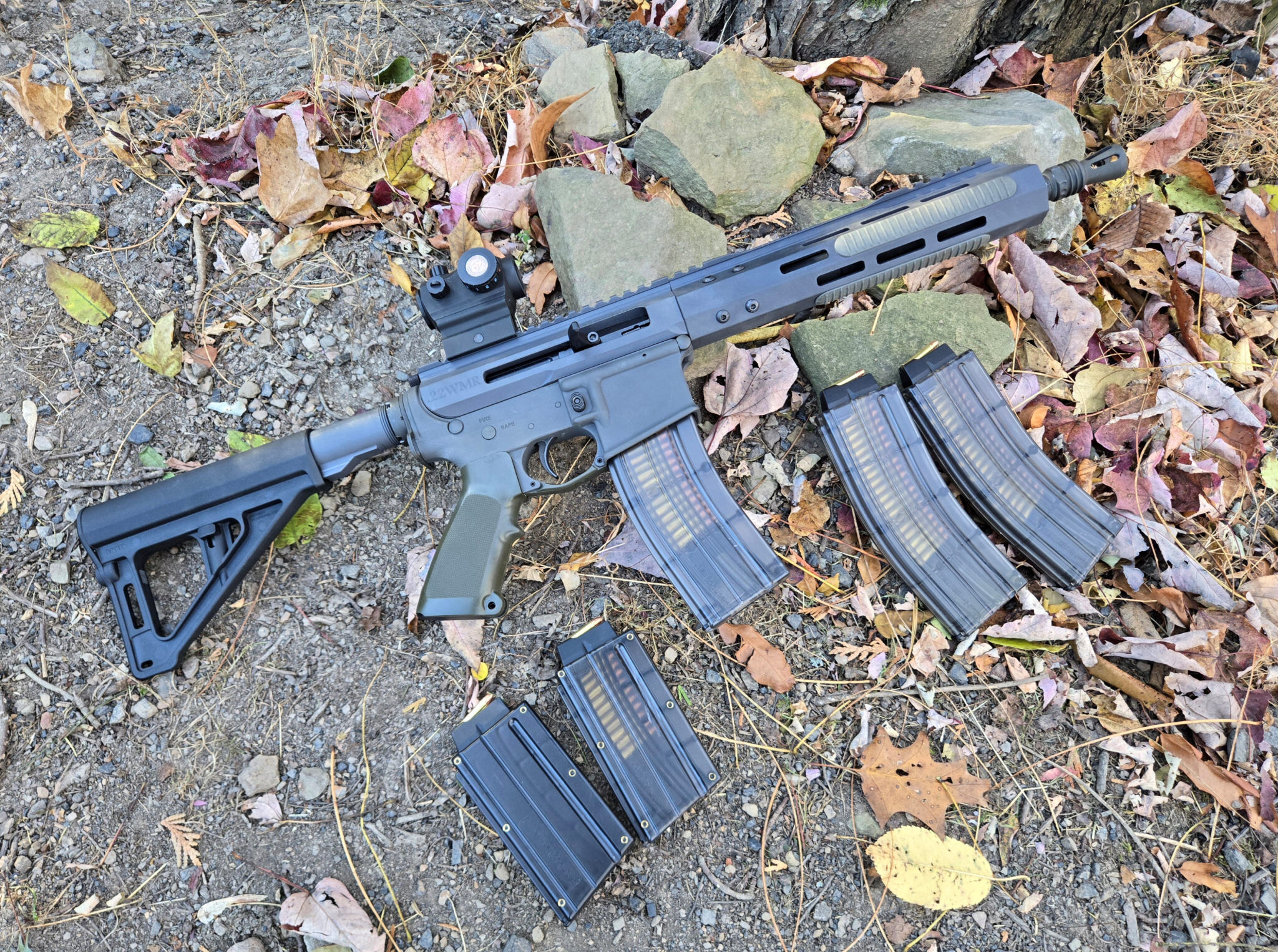 The Bear Creek Franken .22 Magnum - GAT Daily (Guns Ammo Tactical)