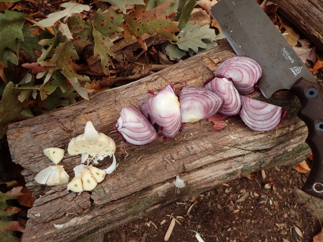 Pest Begone: How To Repel Raccoons And Foxes - GAT Daily (Guns Ammo ...